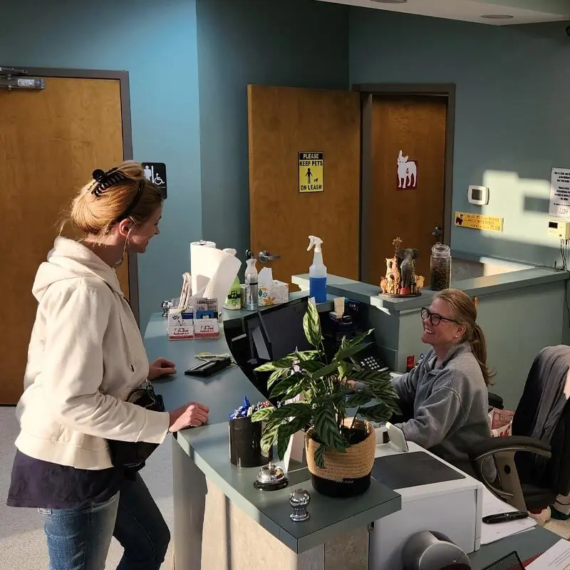 Careers - Animal Ark Animal Hospital